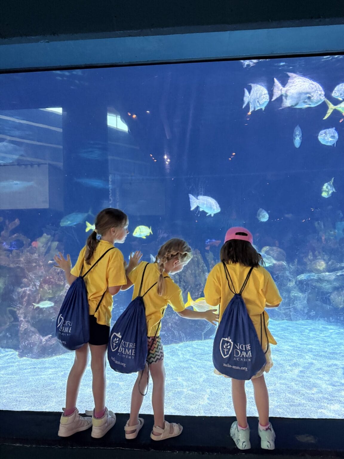 Lions Lair Summer Camp Recap - Notre Dame Academy